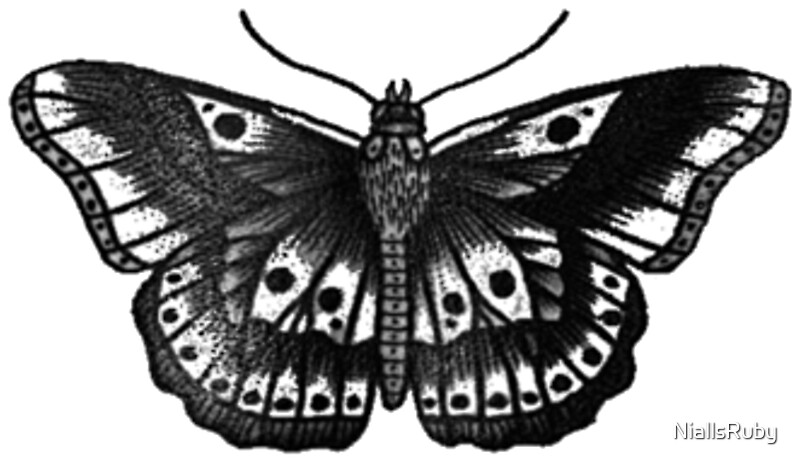 Harry Styles Butterfly: Stickers | Redbubble