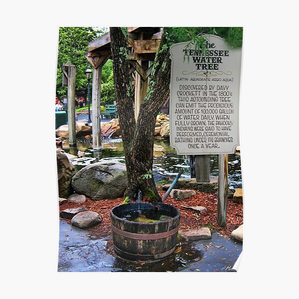 " ⊱╮TENNESSEE WATER TREE PIGEON FORGE ⊱╮" Poster for Sale by Rapture777 ...
