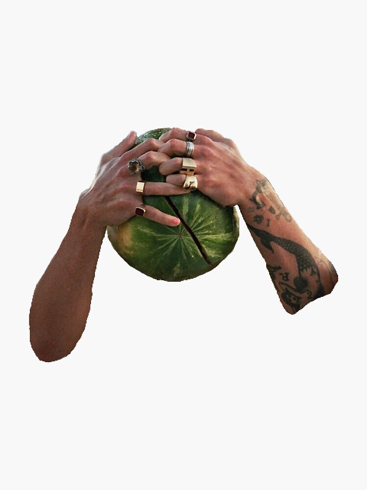 "Harry Styles Hands" Sticker by rileybacher | Redbubble