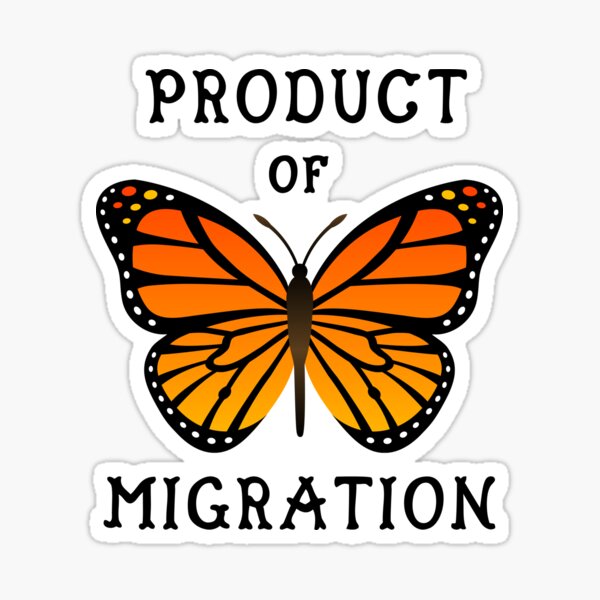 "Product of Migration, Product of Migration Shirt, Latino Pride,Spanish ...