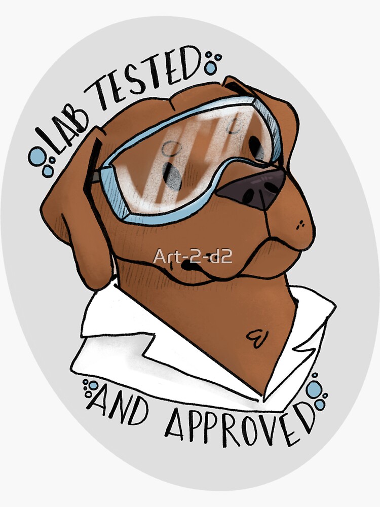 "Chocolate lab tested and approved" Sticker for Sale by Art-2-d2 ...