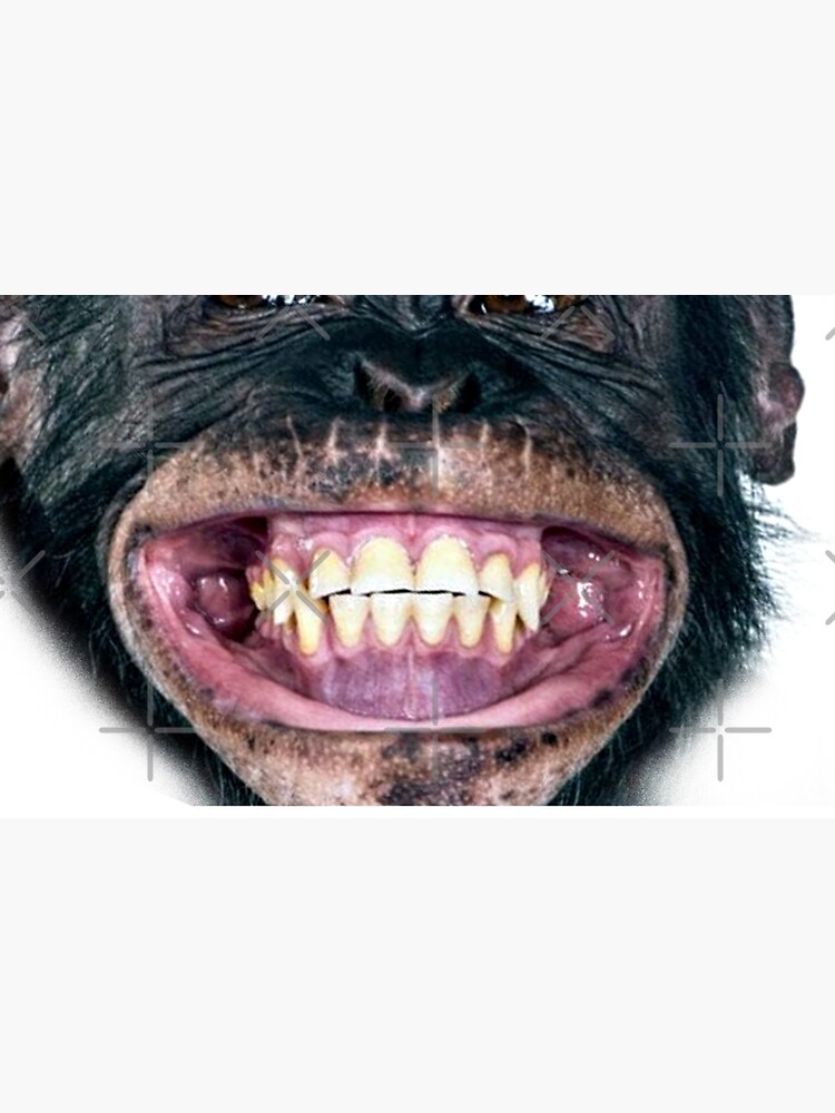 "Monkey laughing face " Sticker by opippi | Redbubble