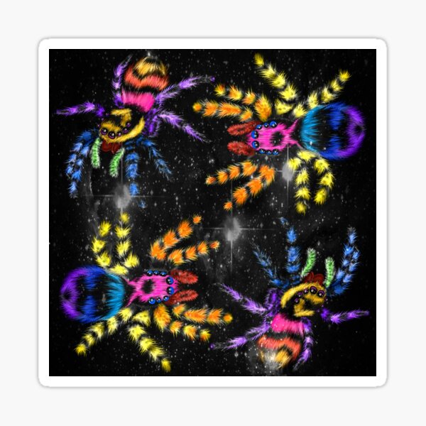 "Trippy jumping spiders" Sticker for Sale by Tarajillian | Redbubble