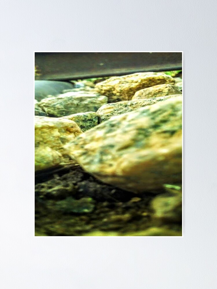 "Aggregates " Poster by Conclusion | Redbubble