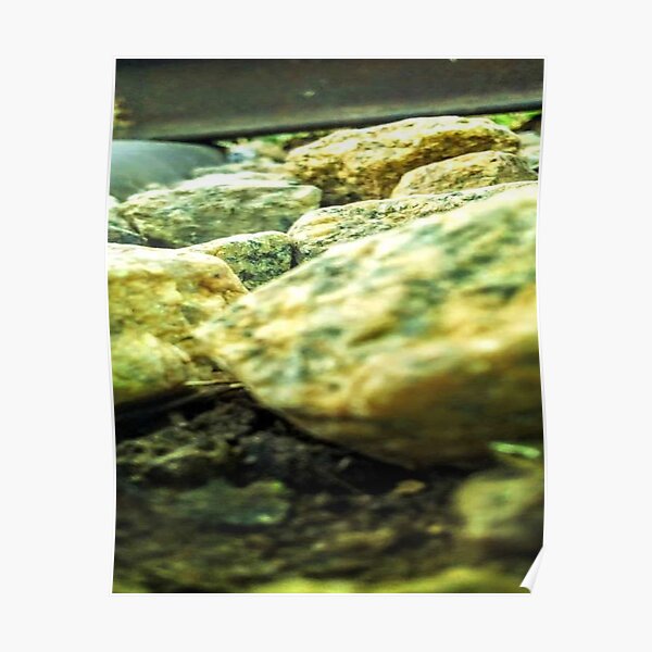 "Aggregates " Poster by Conclusion | Redbubble