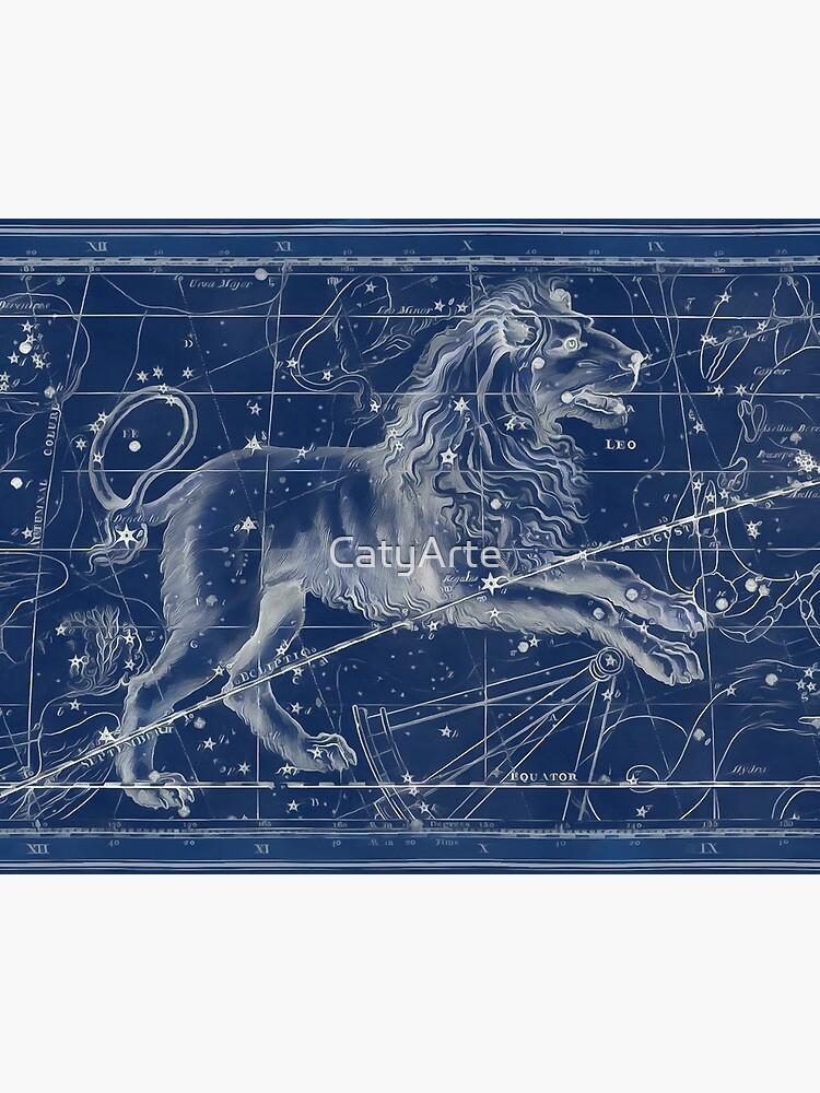 "Leo sky star map" Poster for Sale by CatyArte | Redbubble