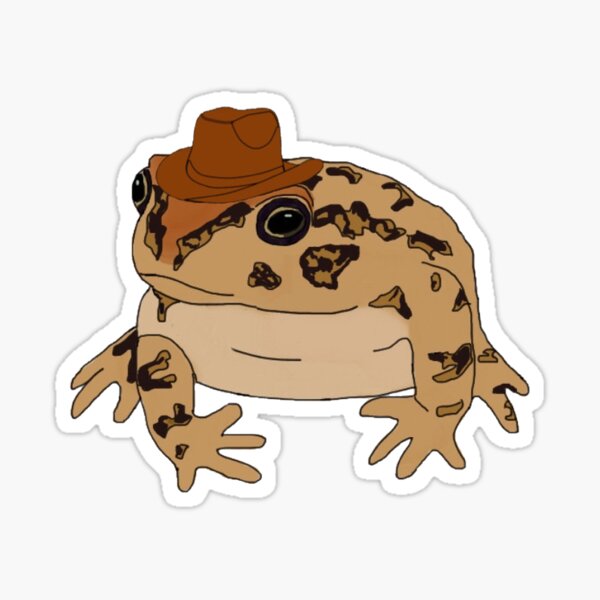 "Cowboy frog!!" Sticker for Sale by andreawalejewsk | Redbubble