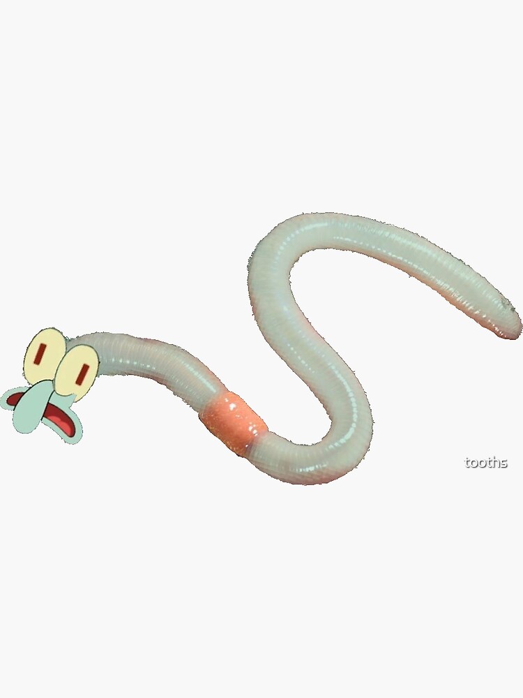 "SQUIDWORM (the final squidward transformation)" Sticker for Sale by ...