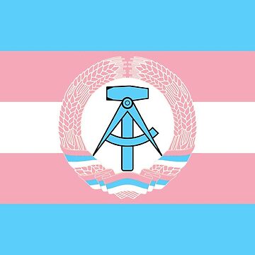 "Trans East German Flag" Sticker for Sale by Communistnuns | Redbubble