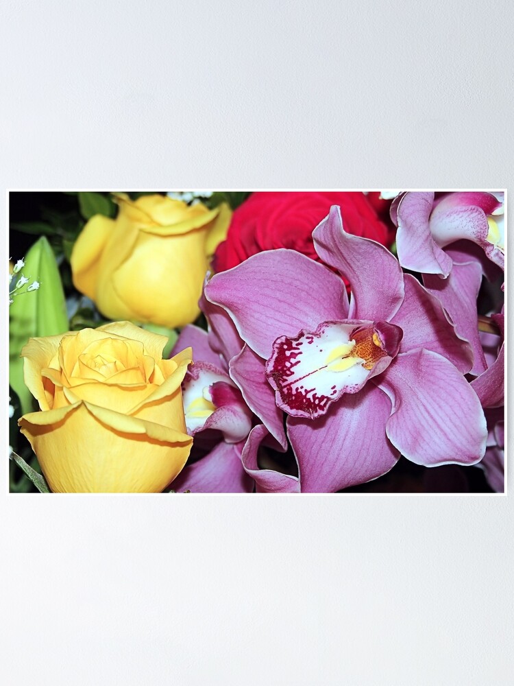 "DIFFERENCES" Poster for Sale by BOLLA67 | Redbubble