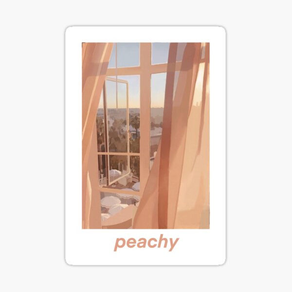 "Peachy View Aesthetic" Sticker for Sale by acaciadanza | Redbubble