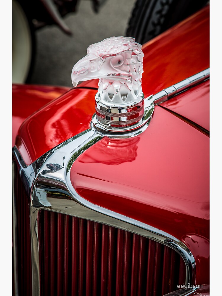 "Eagle Hood Ornament / Radiator Cap on Early Cord" Sticker for Sale by ...