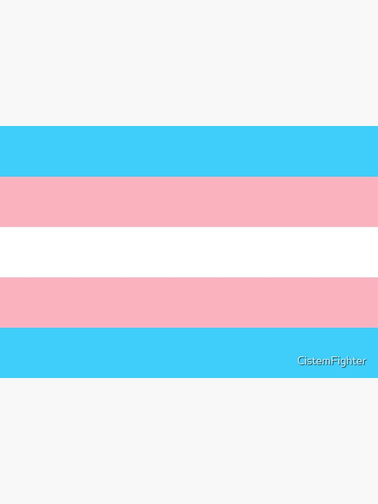 "Transgender Flag" Poster for Sale by CistemFighter | Redbubble
