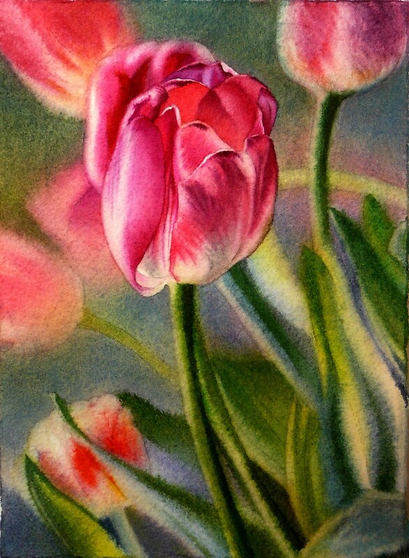 "Spring Breeze - Watercolor Painting of Pink Tulips" by Arena Shawn ...