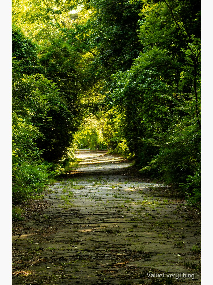 "The old long path" Sticker for Sale by ValueEveryThing | Redbubble