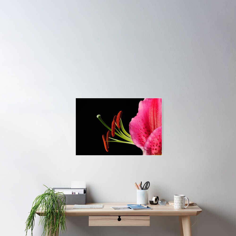 "COLOR~CONTRAST~COMPOSITION~" Poster by RoseMarie747 | Redbubble