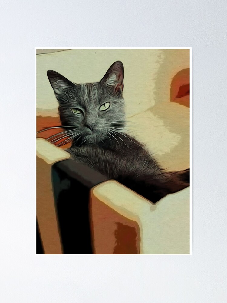 "Grumpy cat in box" Poster for Sale by Eddie-Dearheart | Redbubble
