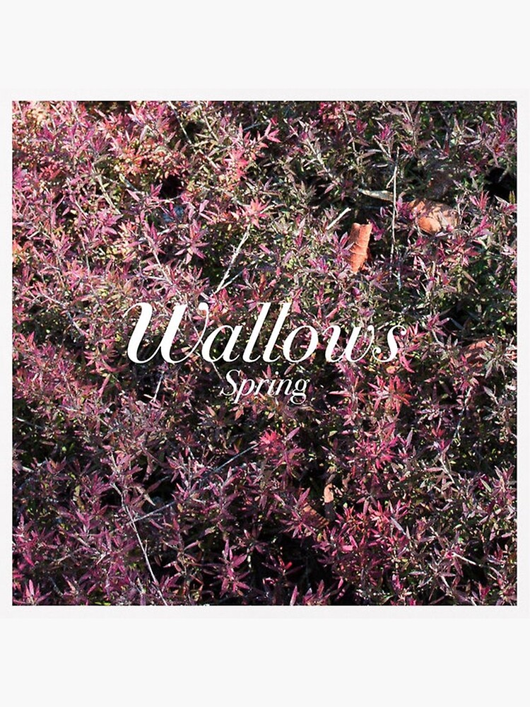 "Wallows Spring Album Cover" Photographic Print by charlottetsui ...