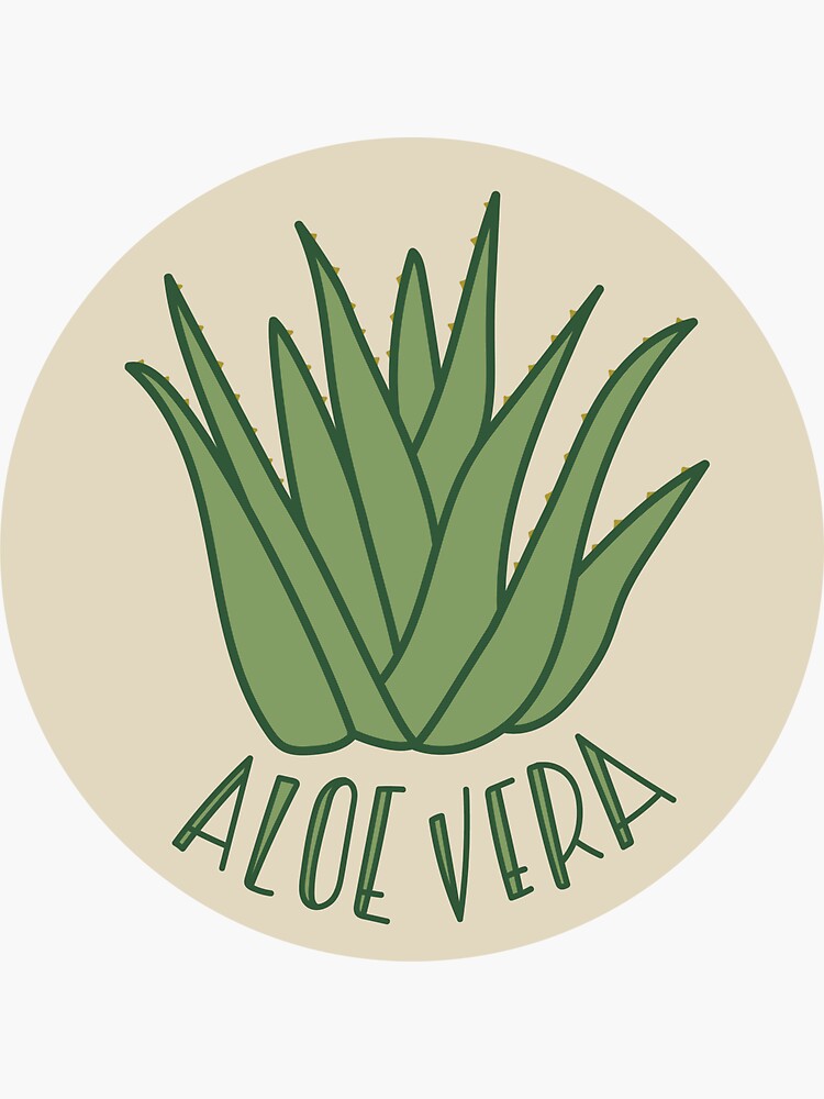 "Aloe Vera Plant" Sticker by designbyclaudia | Redbubble
