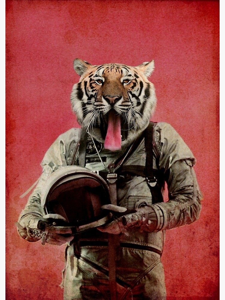 "Space tiger" Poster by Durro | Redbubble