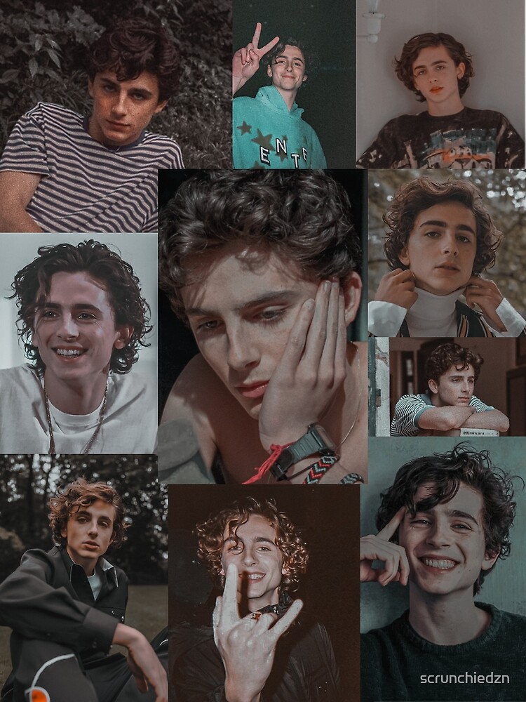 Aesthetic Timothee Chalamet Collage Premium Matte Vertical Poster sold ...
