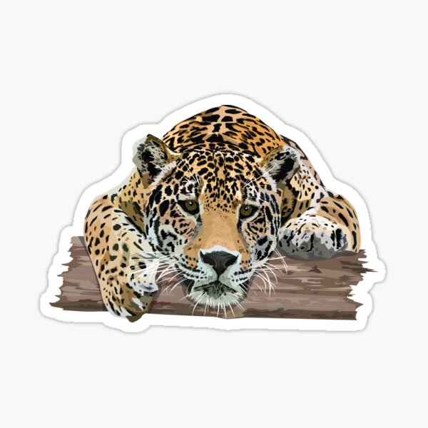 " yaguar or yaguareté is a felid carnivore of the Panterinos subfamily ...