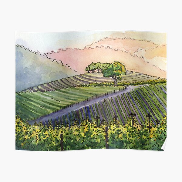 Napa Valley Posters | Redbubble