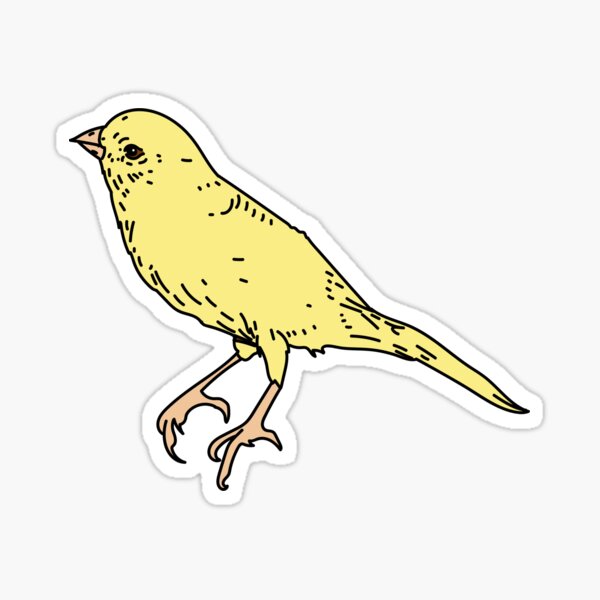 "Canary" Sticker for Sale by JLArtandDesign | Redbubble