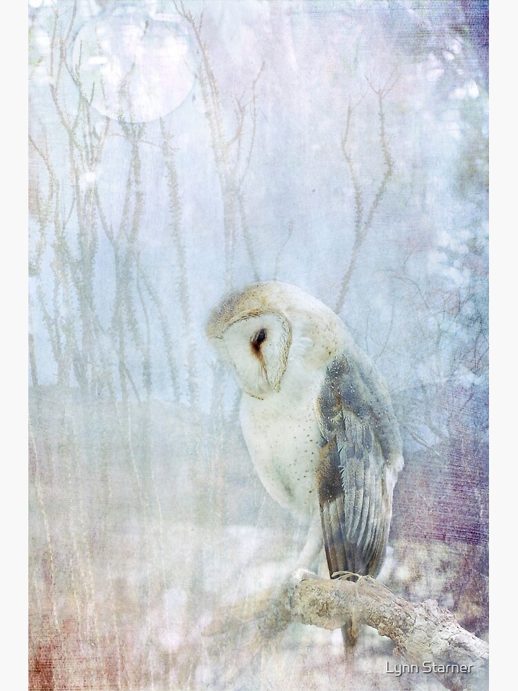 "Ghost Owl" Art Print for Sale by LynnStarner | Redbubble