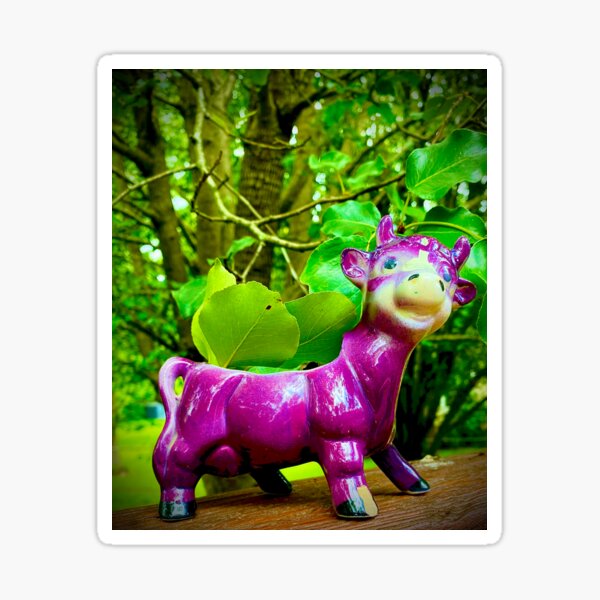 "How Now Purple Cow" Sticker by CWeathers | Redbubble