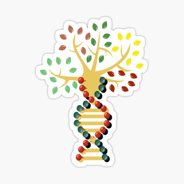 "Tree of Life Men's DNA Genetic" Sticker by JUSTBECREATIVE1 | Redbubble