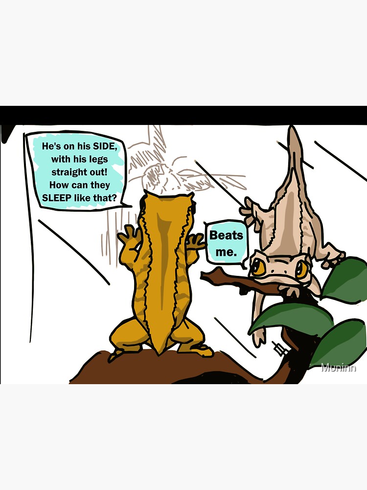 ""Comfy Cresties" Funny Crested Geckos" Sticker for Sale by Muninn ...