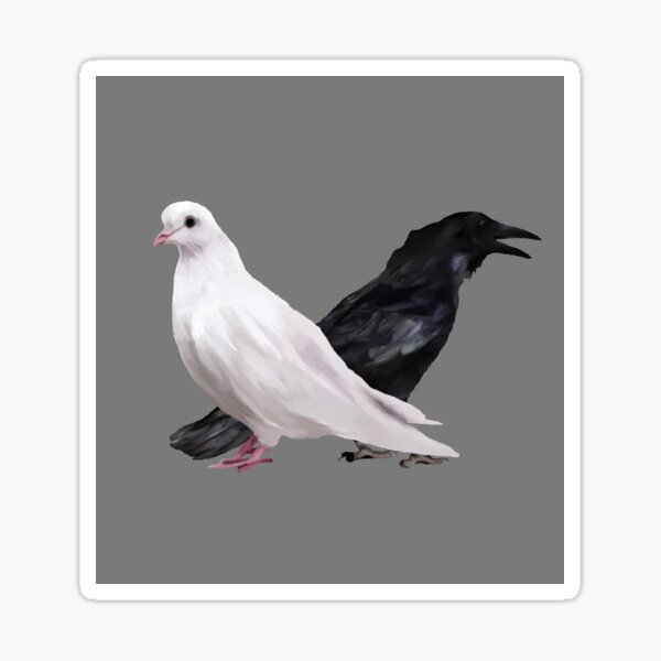 "Dove and Raven" Sticker by rraeart | Redbubble