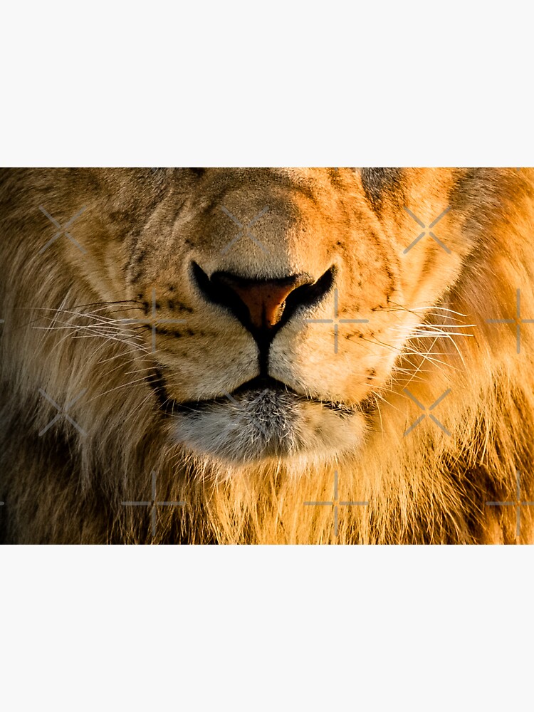 "LION MASK" Sticker for Sale by MAIRACARDOSO | Redbubble