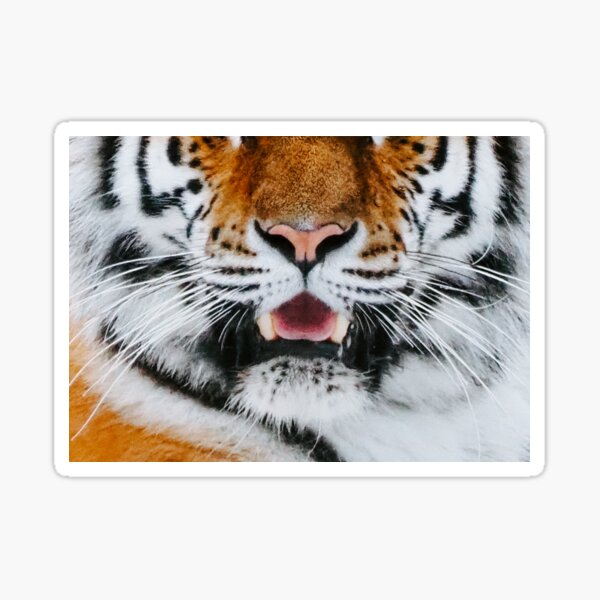 "TIGER MASK" Sticker for Sale by MAIRACARDOSO | Redbubble