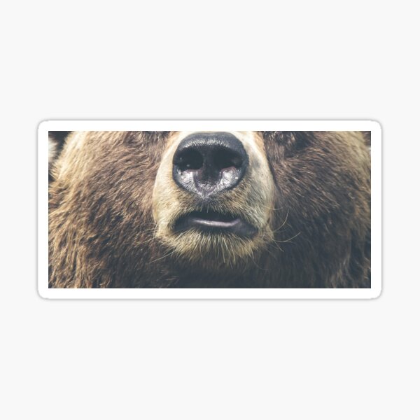 "BEAR MASK" Sticker for Sale by MAIRACARDOSO | Redbubble