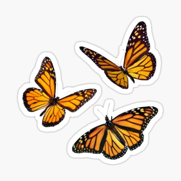 "Butterfly Sticker Set" Sticker for Sale by Kelsey Stroud | Redbubble