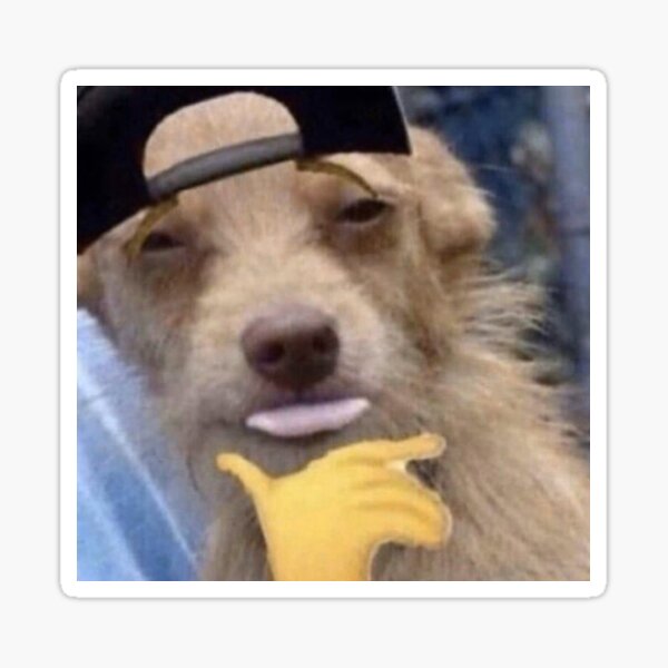 ""dam without me ahaha" Meme/Trend/Tiktok (with no words)" Sticker for ...