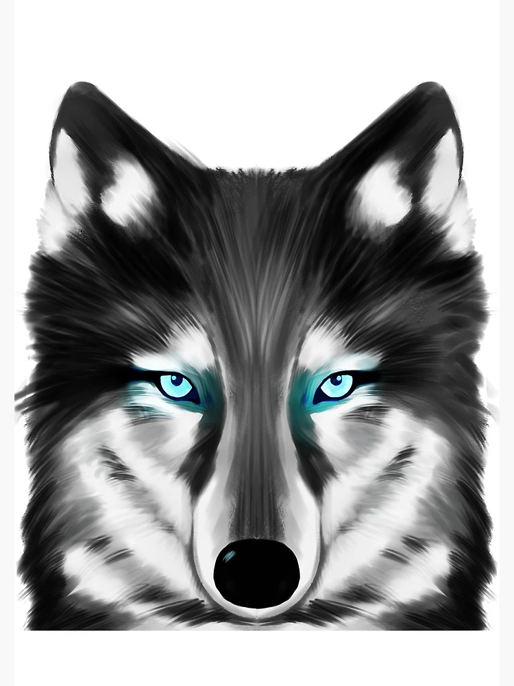 Loup Noir Yeux Bleus Art