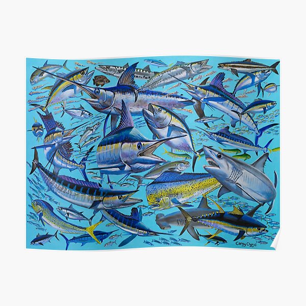 "Offshore Gamefish Collage" Poster for Sale by Bluemarlin | Redbubble