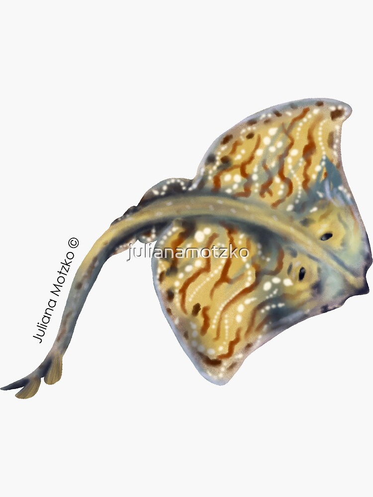 "Undulate Ray" Sticker by julianamotzko | Redbubble