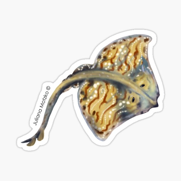 "Undulate Ray" Sticker by julianamotzko | Redbubble