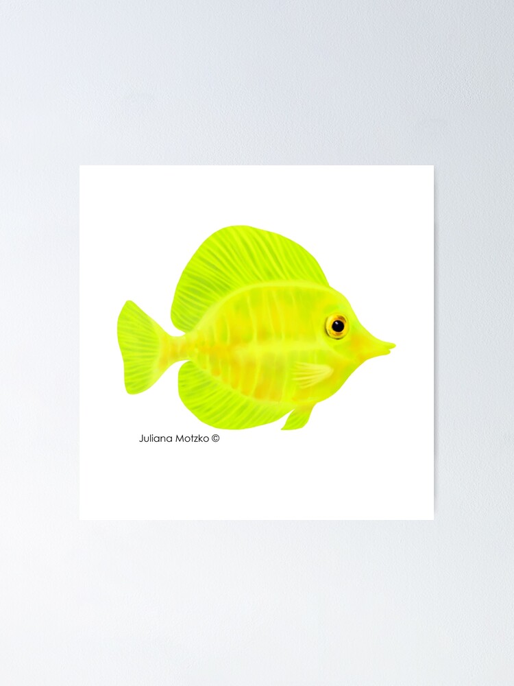 "Yellow Tang Fish" Poster by julianamotzko | Redbubble