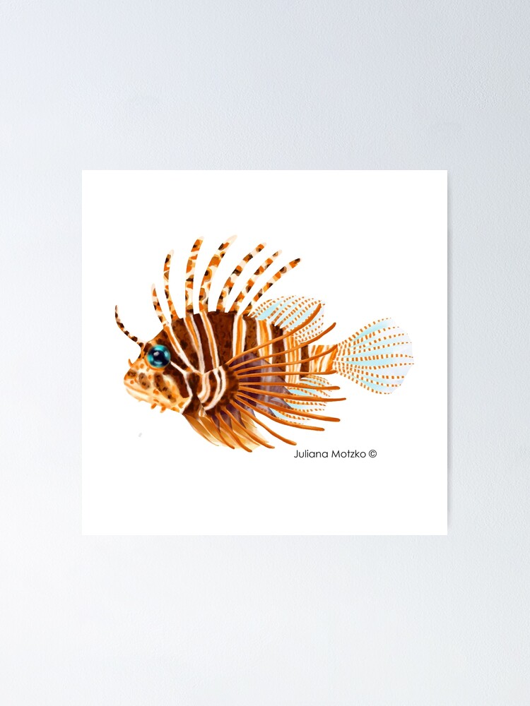 "Zebra Lionfish" Poster for Sale by julianamotzko | Redbubble