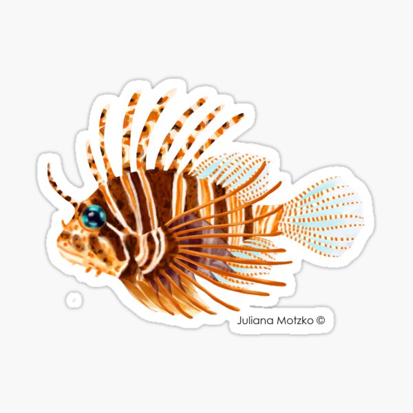 "Zebra Lionfish" Sticker by julianamotzko | Redbubble