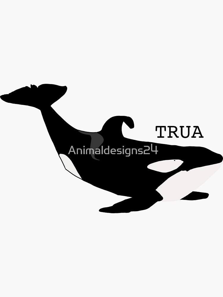 "TRUA the killer whale" Sticker by Animaldesigns24 | Redbubble