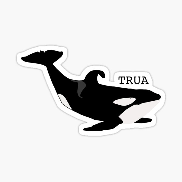 "TRUA the killer whale" Sticker by Animaldesigns24 | Redbubble