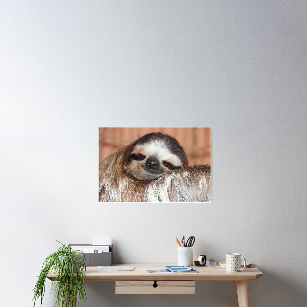 "Buttercup the Sloth" Poster by gdcall | Redbubble