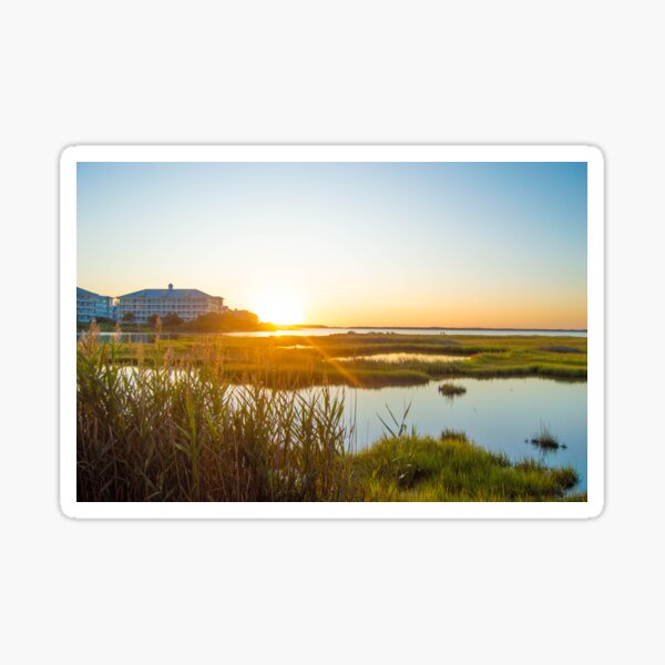 "Sunset Overlooking the Bay" Sticker for Sale by NoSaysLion | Redbubble