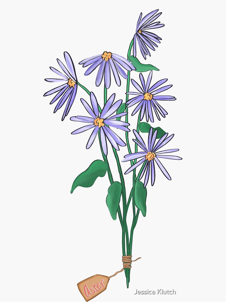 "Asters" Sticker for Sale by Jessklutch | Redbubble